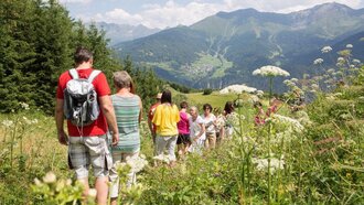 Guided tour of the wild herb nature trail with Monika