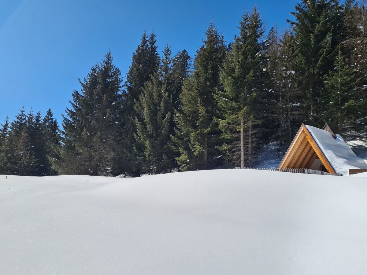 Hiking trail to the Wode tower | Serfaus-Fiss-Ladis